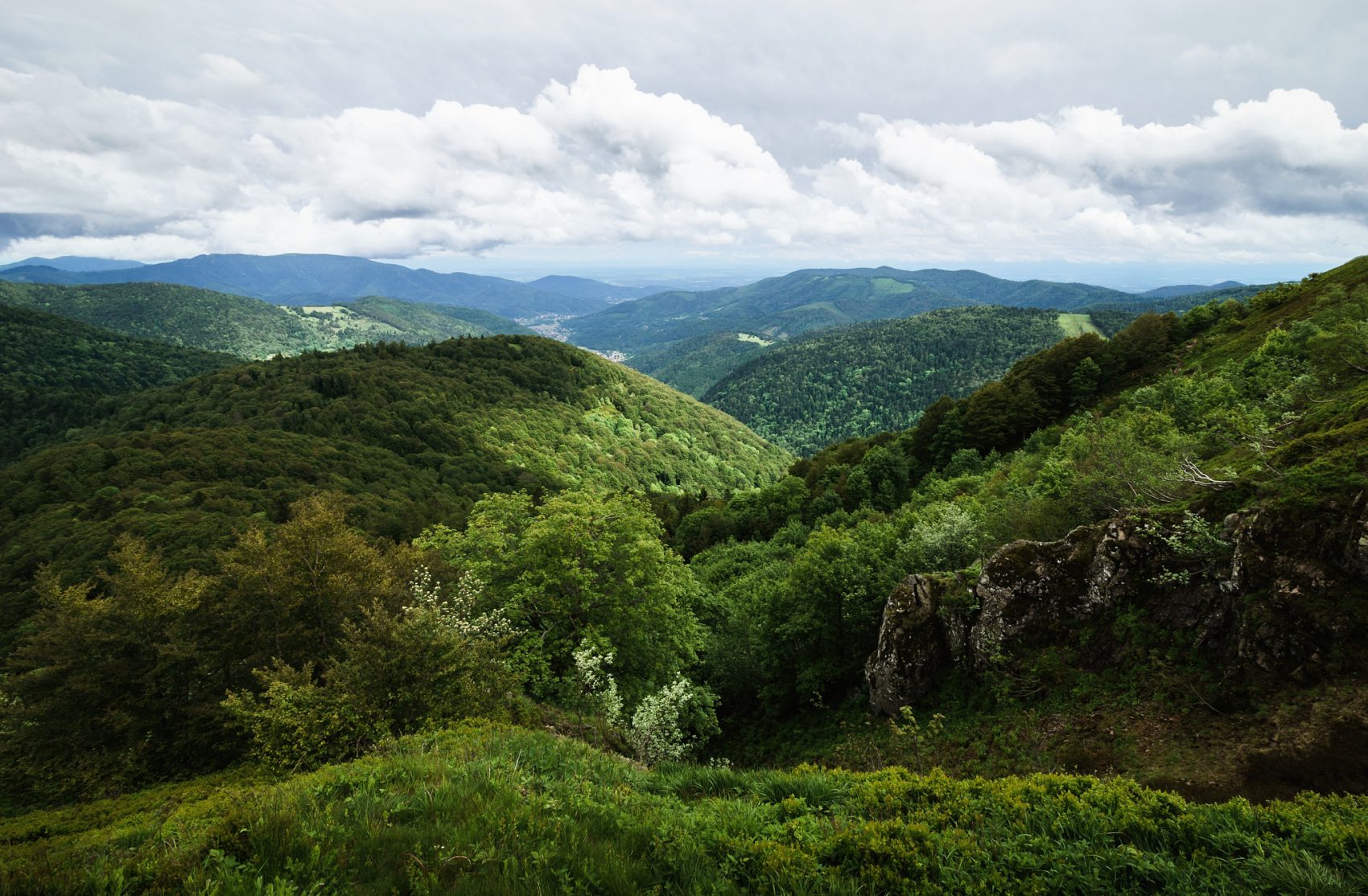 Vosges Mountains – ALEX WESCHE LANDSCAPES