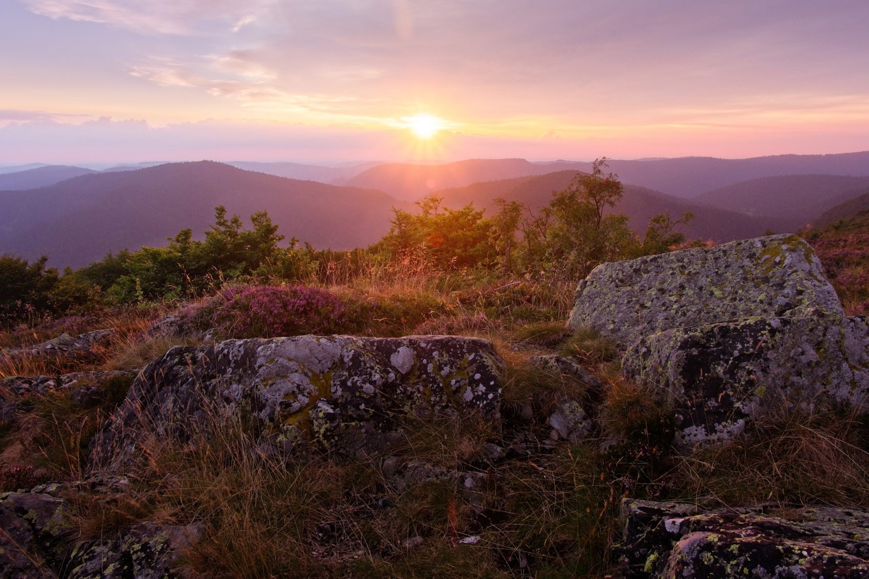 Vosges Mountains – ALEX WESCHE LANDSCAPES